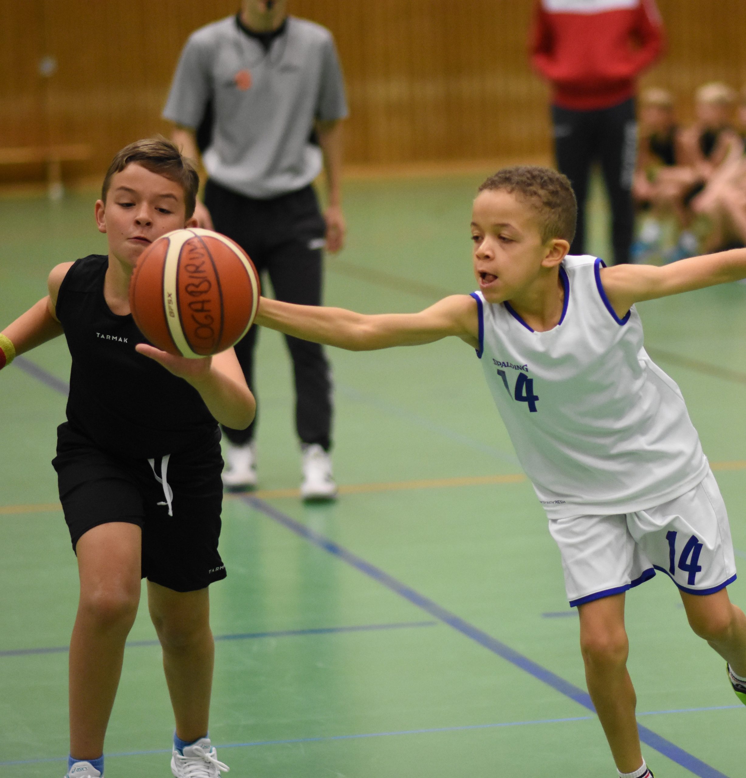 U10 mit tollem Debüt gegen Oldenburger Bundesliga-Nachwuchs - Kleene Baskets Fortuna Logabirum